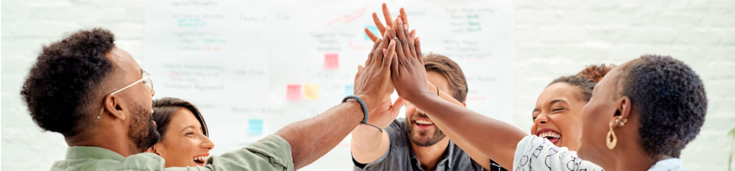 Our Team - New Frontier Group